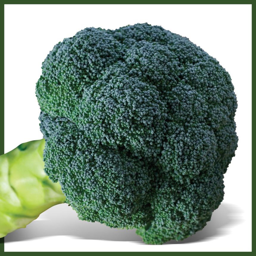 Semilla para Cultivo de Brócoli Sakata Eastern Magic