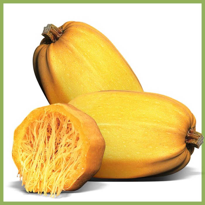 Semillas Sakata para Cultivo de Variedades Calabaza Espagueti