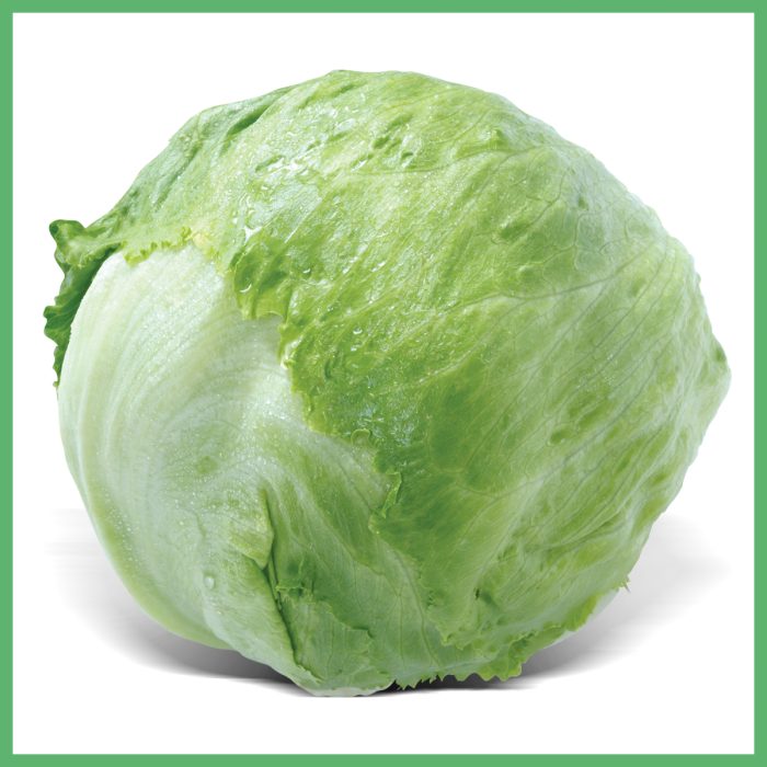 Lechuga Archives - Sakata México