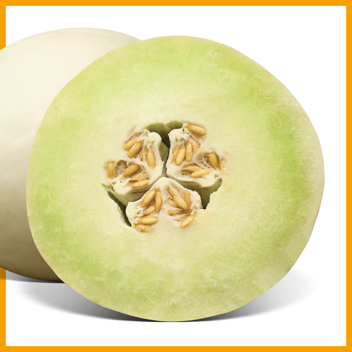 Melón Archives - Sakata México