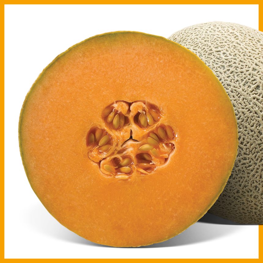 Semillas Sakata para Cultivo de Variedades de Melón