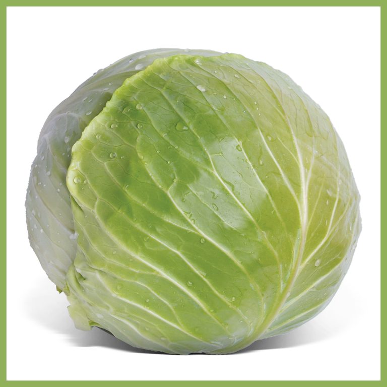 Semillas Sakata para Cultivo de Variedades de Repollo