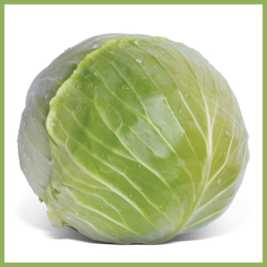 Semillas Sakata para Cultivo de Variedades de Repollo