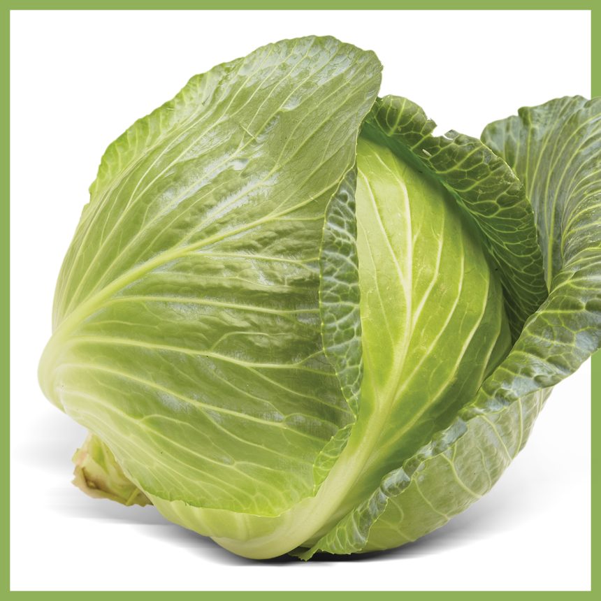 Semillas Sakata para Cultivo de Variedades de Repollo