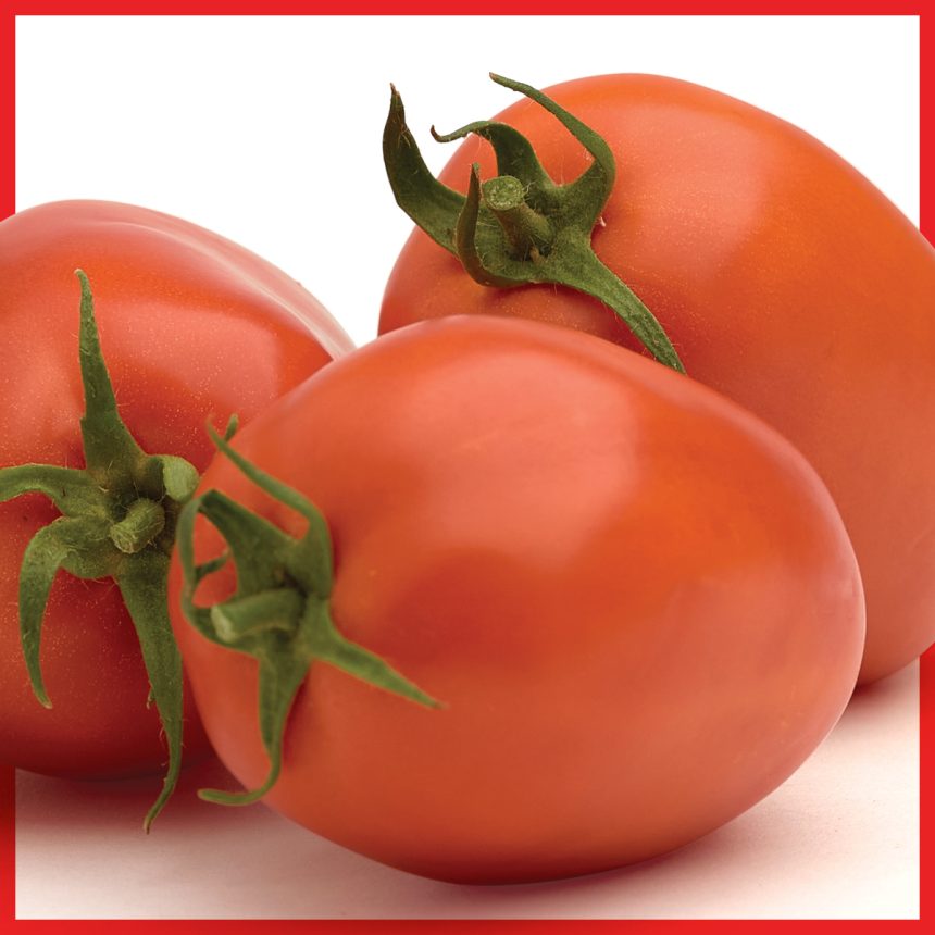 Semilla para Cultivo de Tomate Determinado Roma Sakata Inca